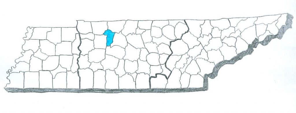 TN History For Kids » Cheatham County