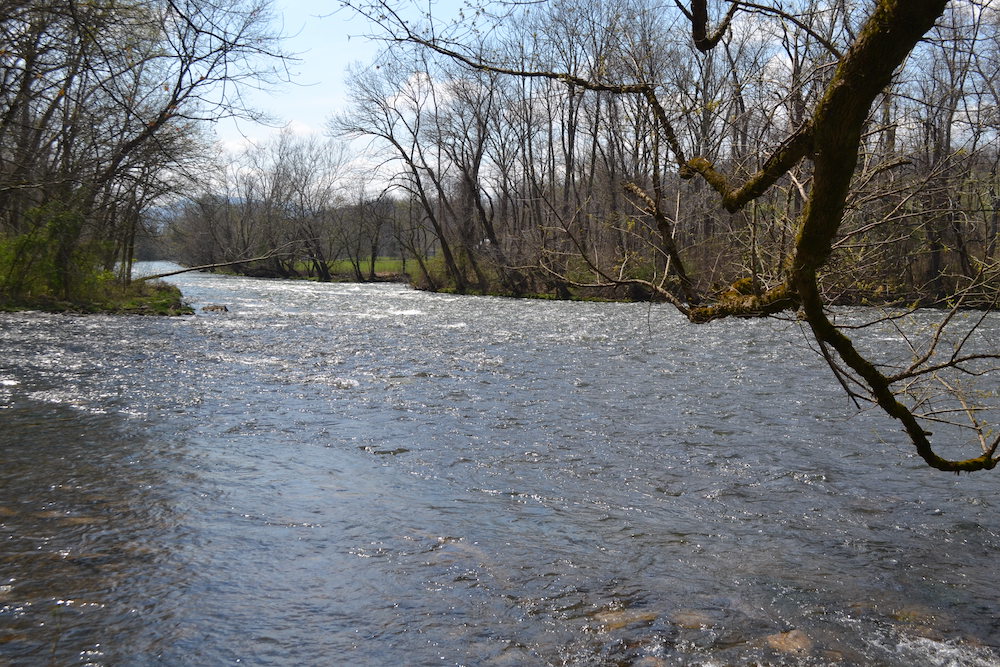 TN History For Kids » Sycamore Shoals
