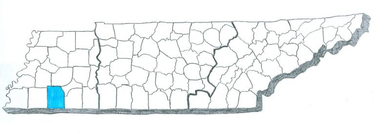 TN History For Kids » Hardeman County