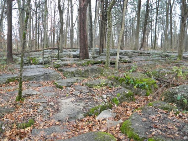 TN History For Kids » Stone’s River