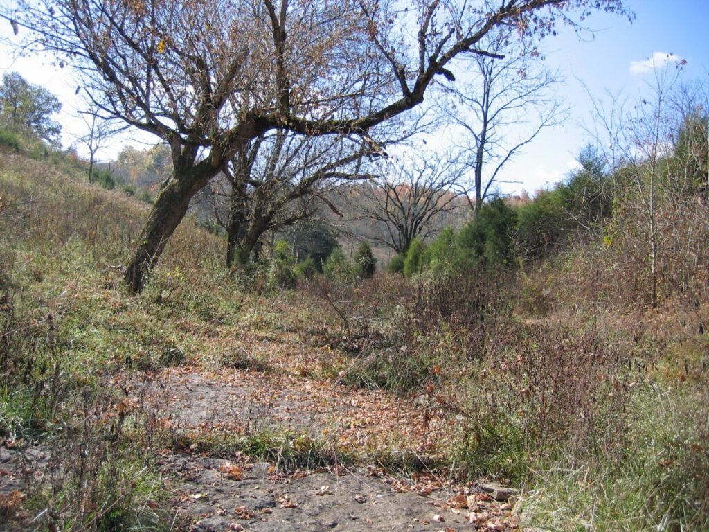 TN History For Kids » Old Road Across the Plateau