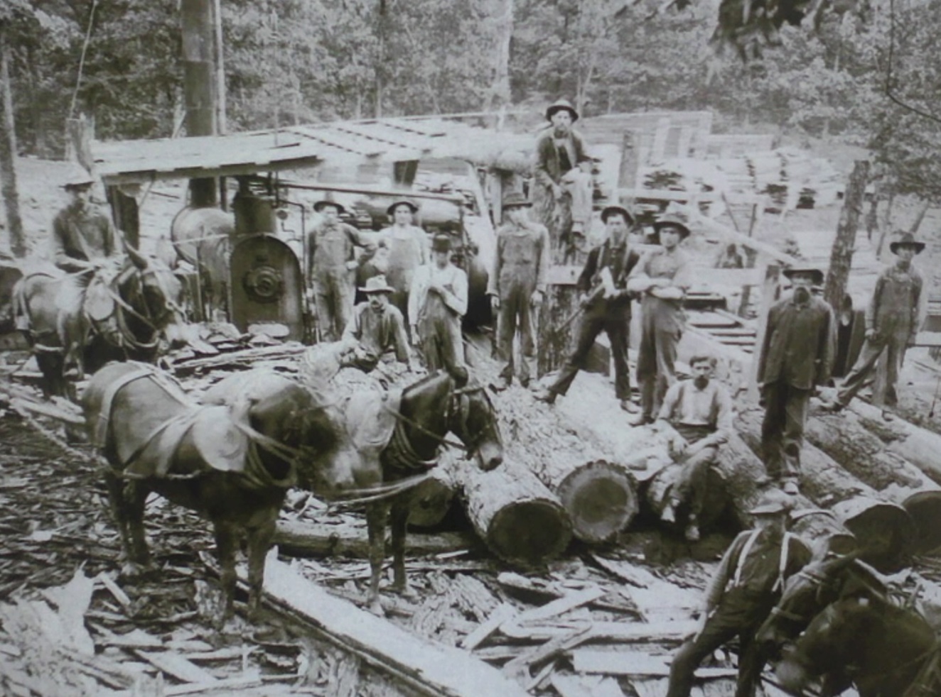 TN History For Kids » May Student Open Houses: TN Products, World War ...